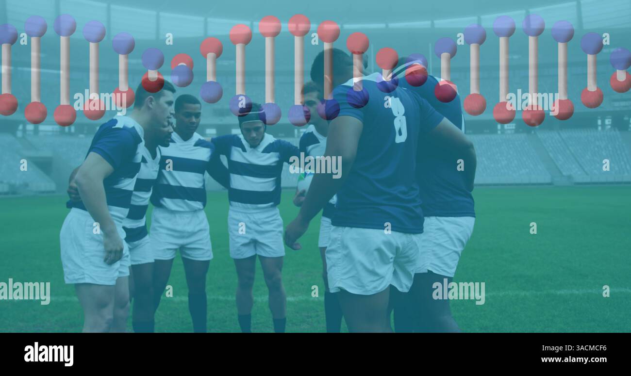Image of dna strand over rugby players Stock Photo - Alamy