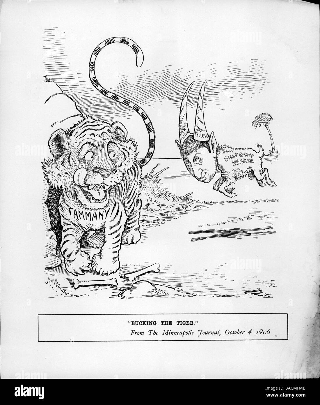 Tammany tiger hi-res stock photography and images - Alamy