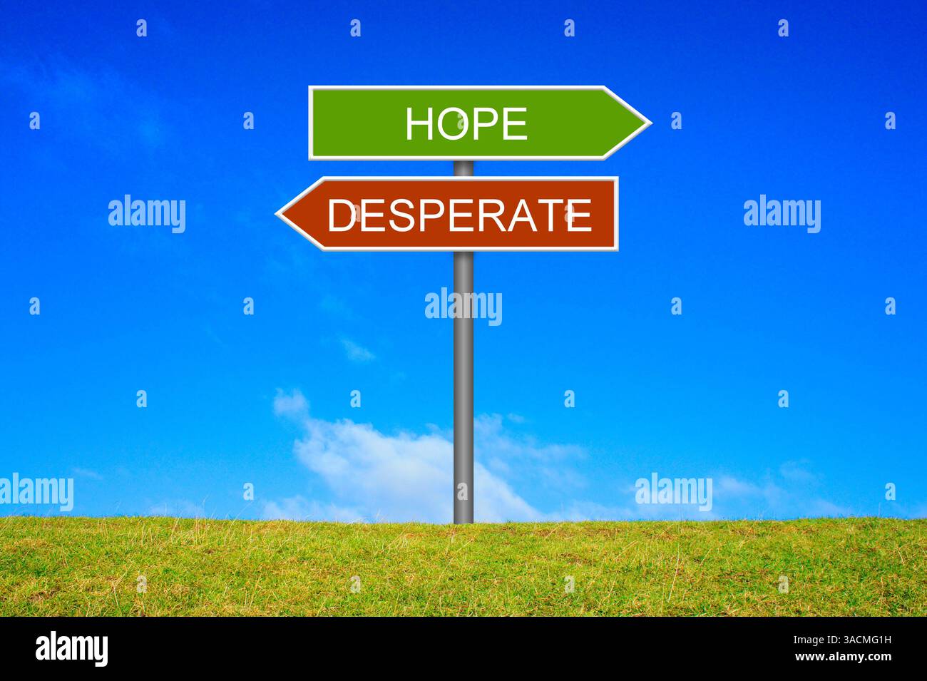 Red green signpost or sign on a meadow against a blue sky points in the ...