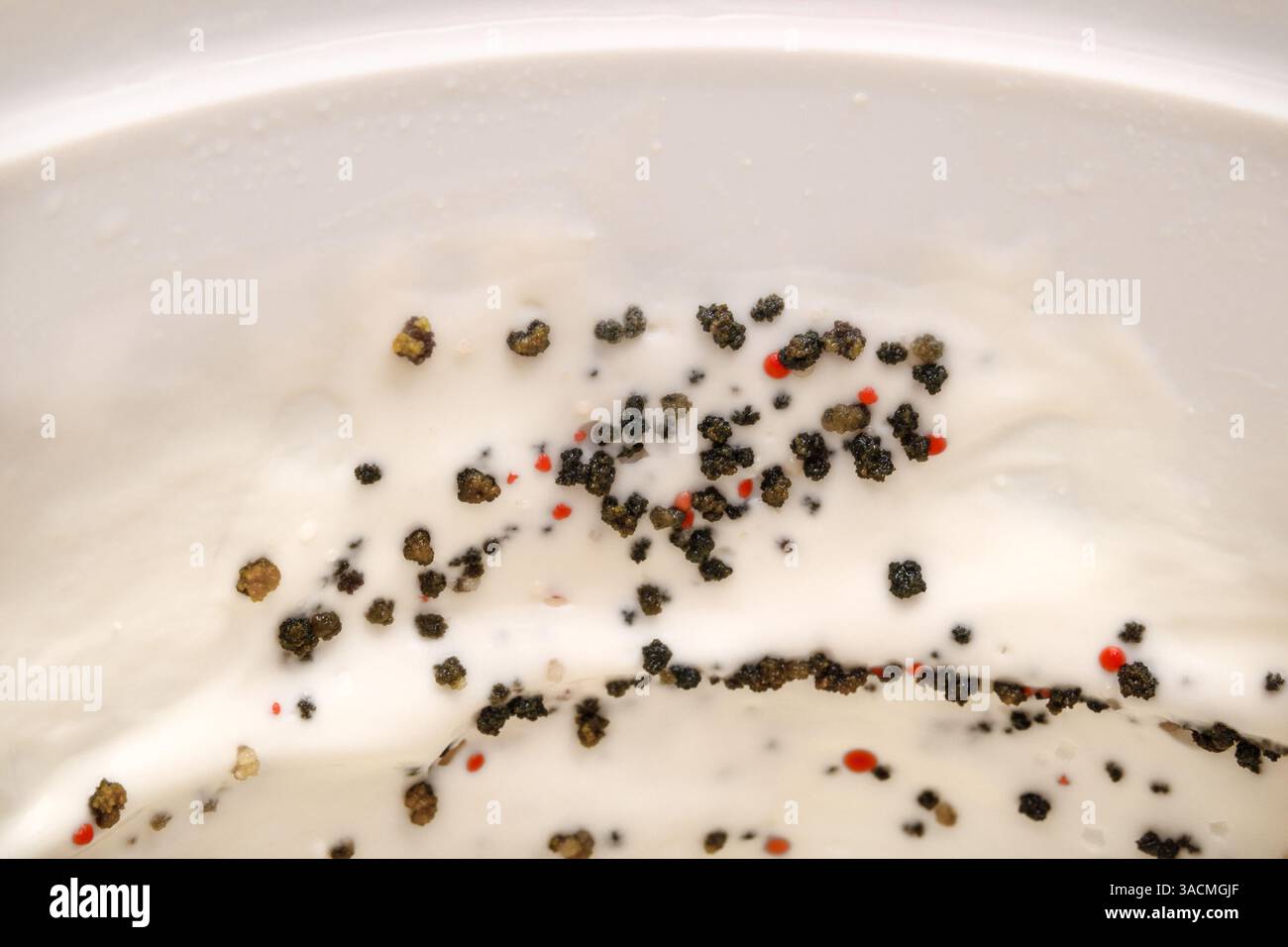 Mold moldy mold hi-res stock photography and images - Alamy