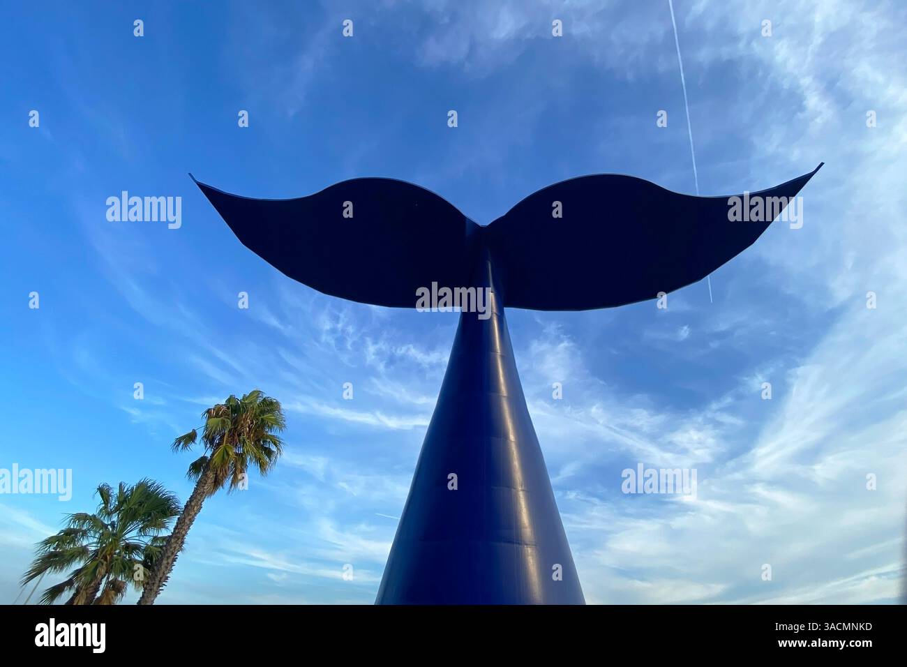 Statue of a giant whale tail against a blue sky and green palm trees ...