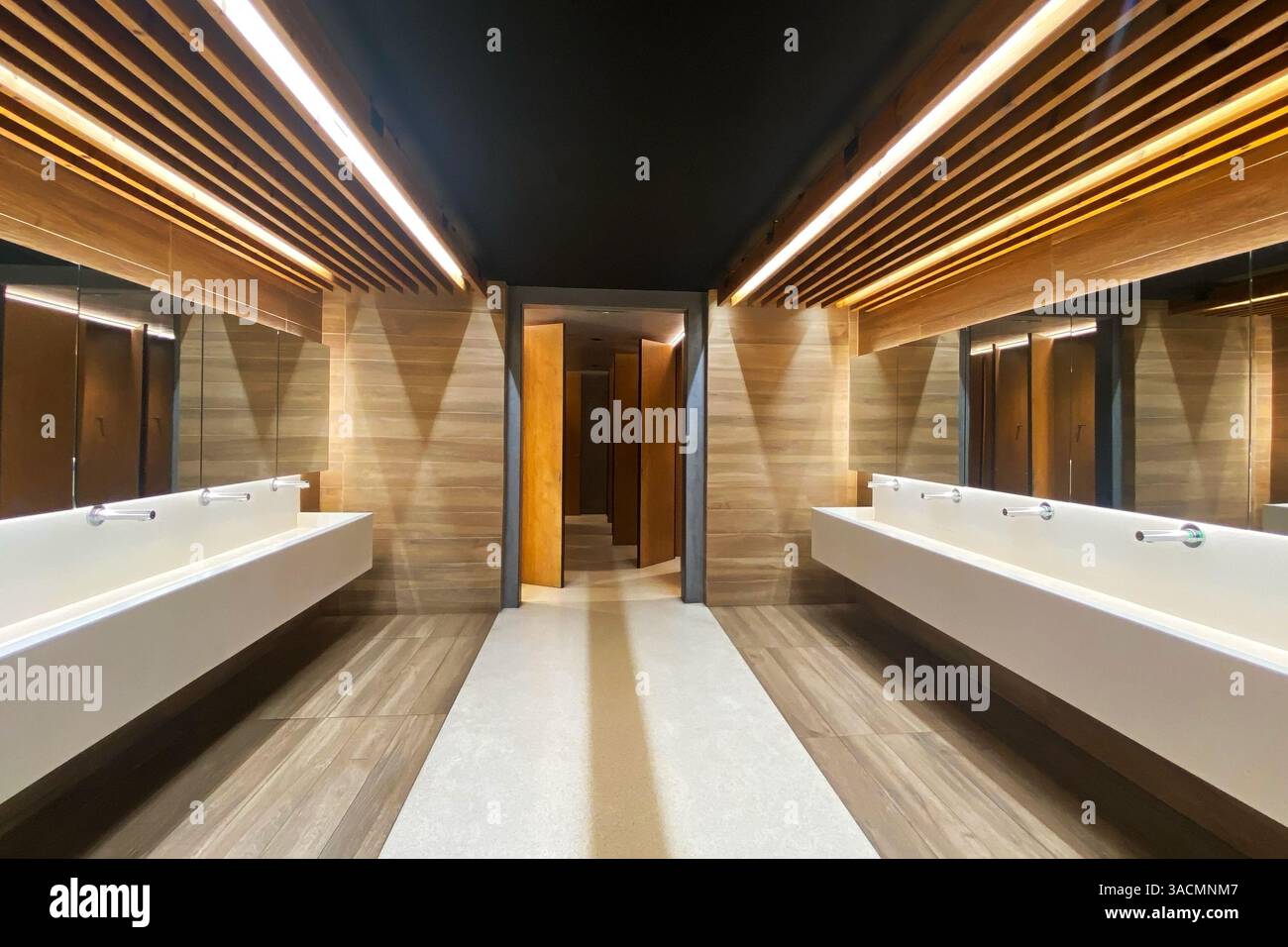 Stylish restroom in a luxury shopping mall with modern finishes, clean ...