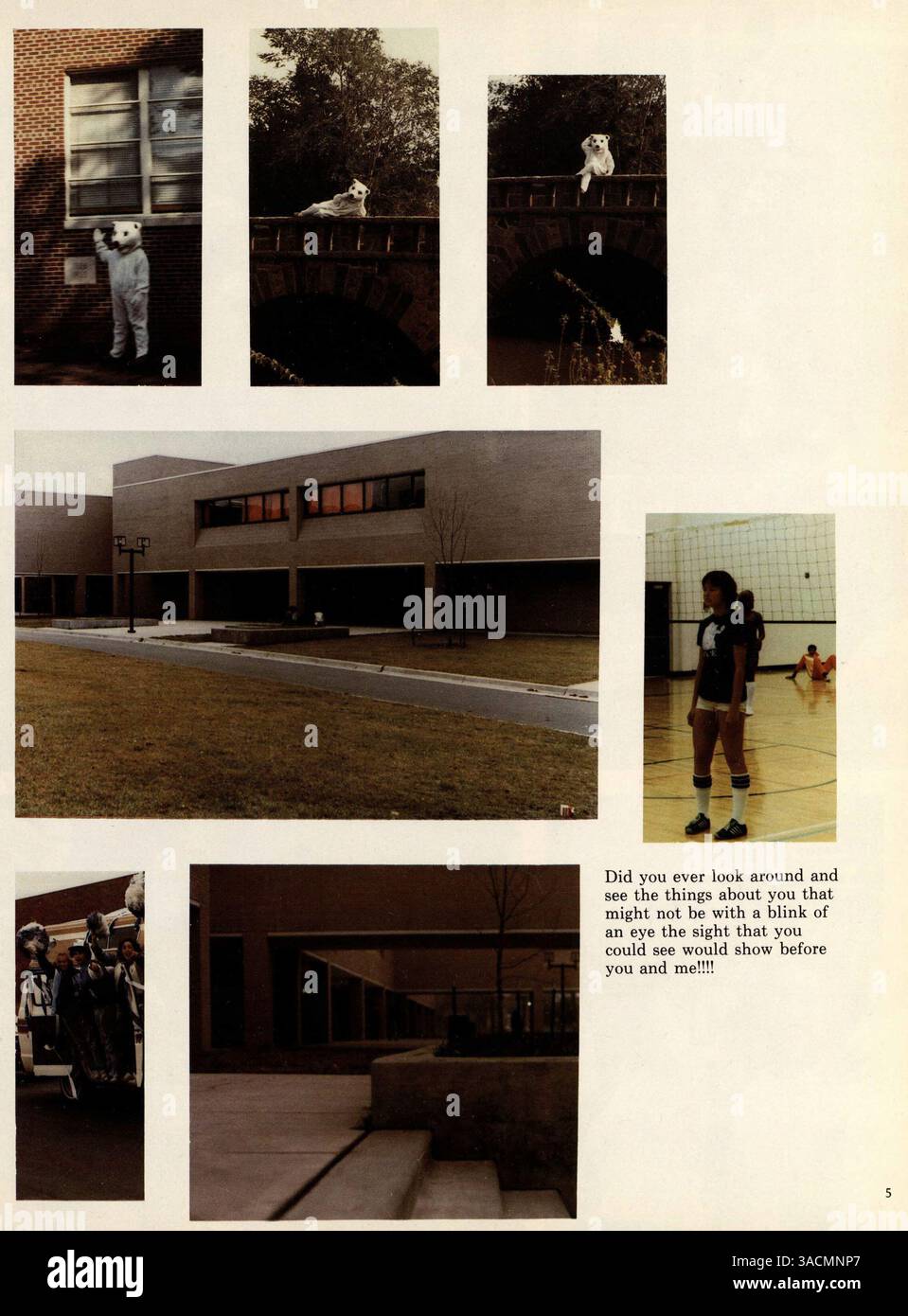 The 1981 Polaris yearbook from North High School highlights student ...