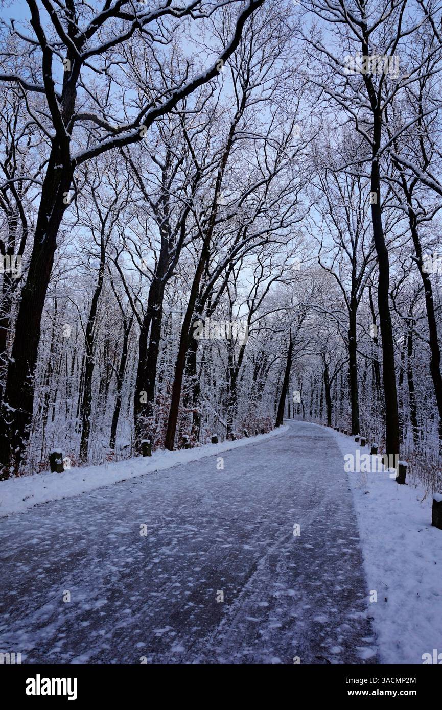 Empty road snow in hi-res stock photography and images - Alamy