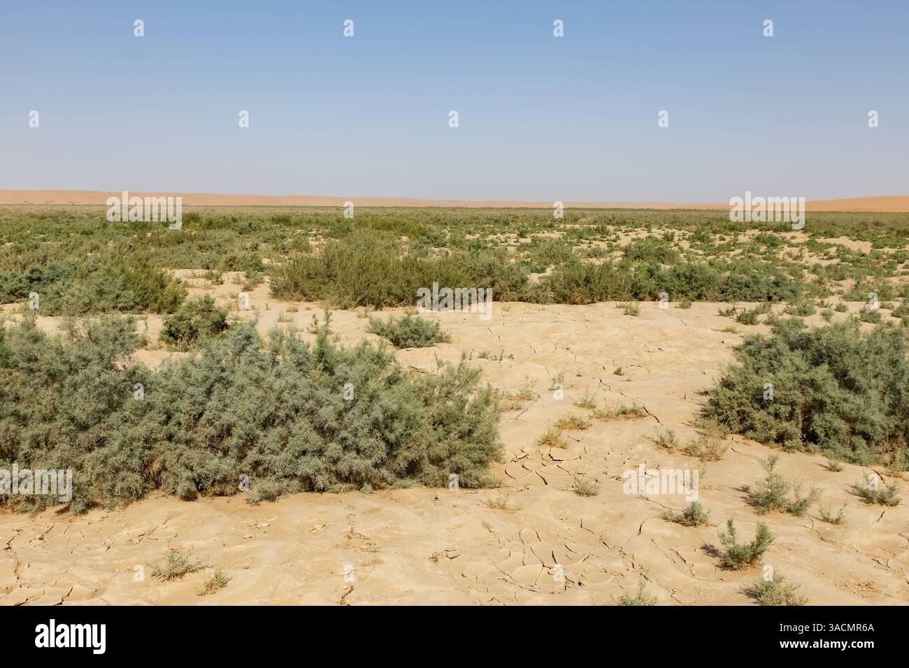 Vast landscape of dried terrain with green shrubs in Faryab Province ...