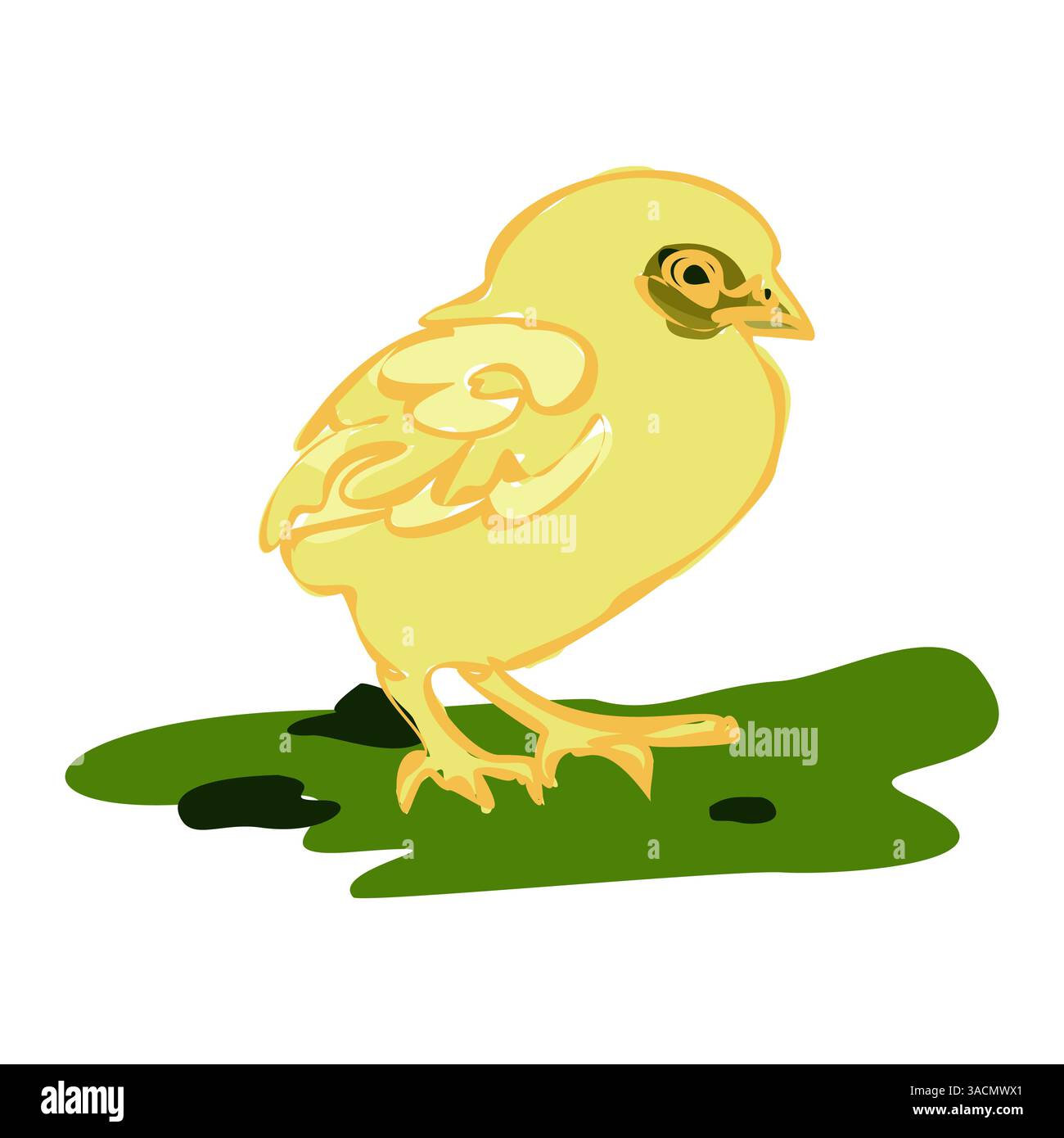 Yellow chicken, little chick. Sweet and adorable baby chick. A colorful ...