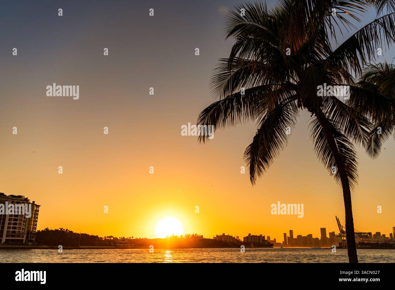 Miami sunset. Skyscraper building. Cityscape sunset with building. City ...