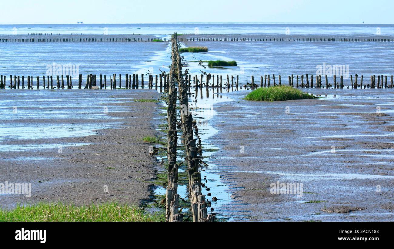 North sea reclamation hi-res stock photography and images - Alamy