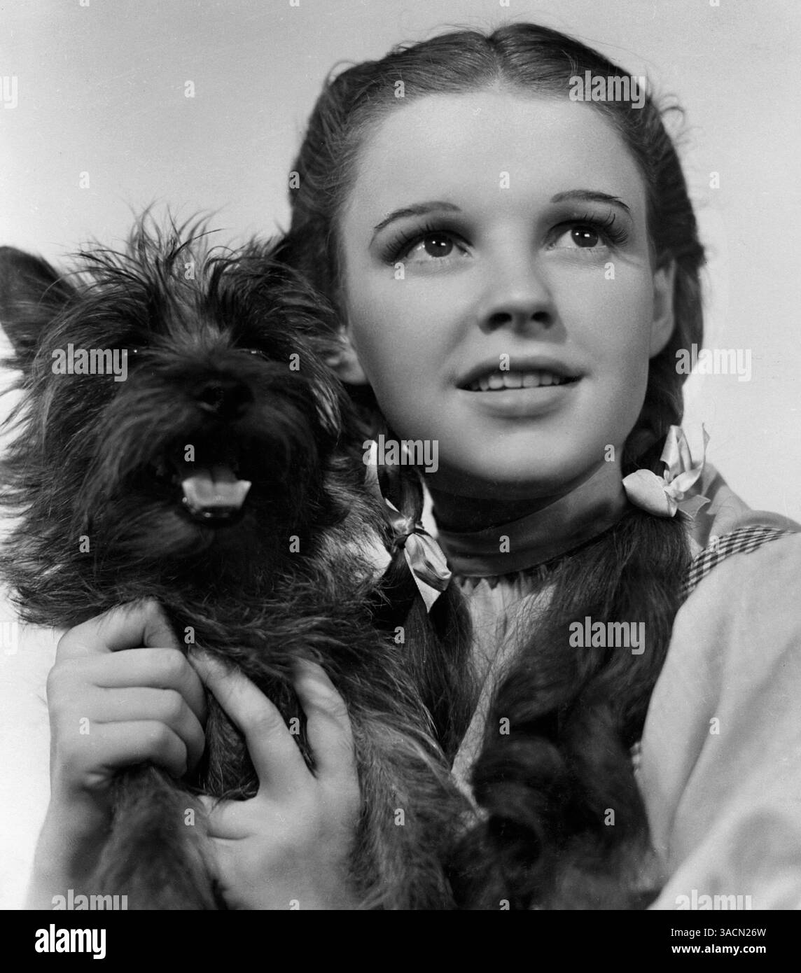 Studio Publicity Still: "The Wizard of Oz" Judy Garland and Toto 1939 ...