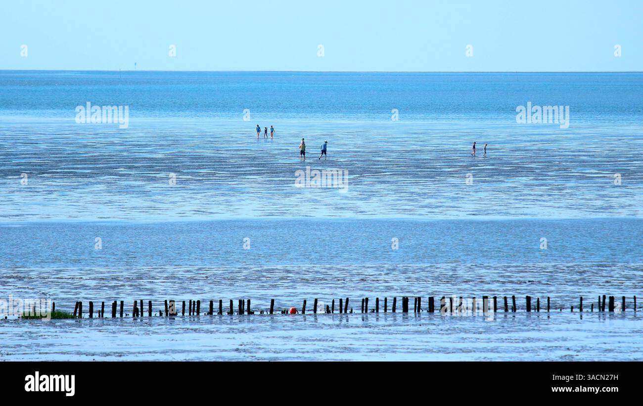 Tidal flat hi-res stock photography and images - Alamy