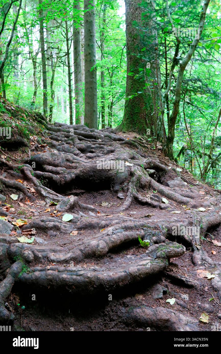 Dietfurter brucke hi-res stock photography and images - Alamy