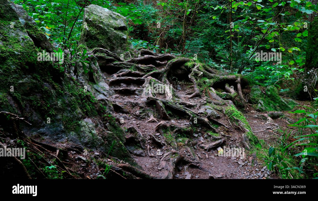 Wutachschlucht, wutach, lotenbachklamm, gorge, bonndorf, boll ...