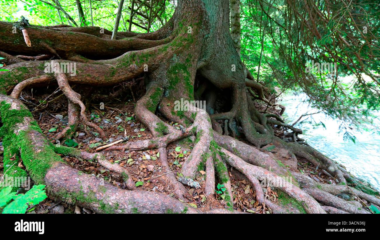 Wutachschlucht, wutach, lotenbachklamm, gorge, bonndorf, boll ...