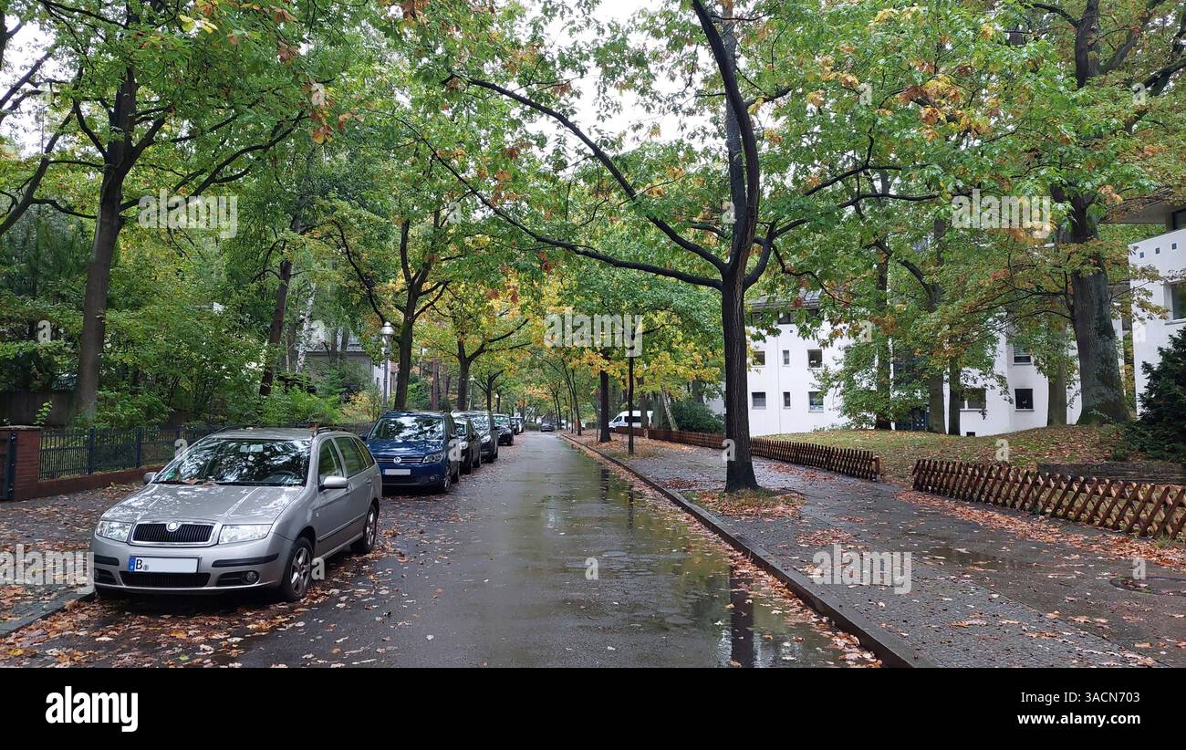 Street with parked cars and many trees in residential area Stock Photo ...