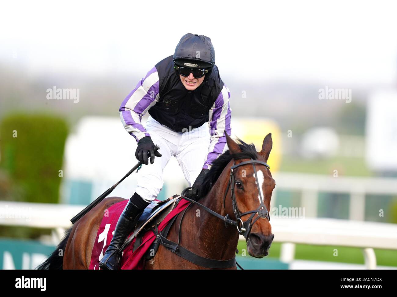 She's A Saint ridden by Tristan Durrell after winning the Hallgarten ...