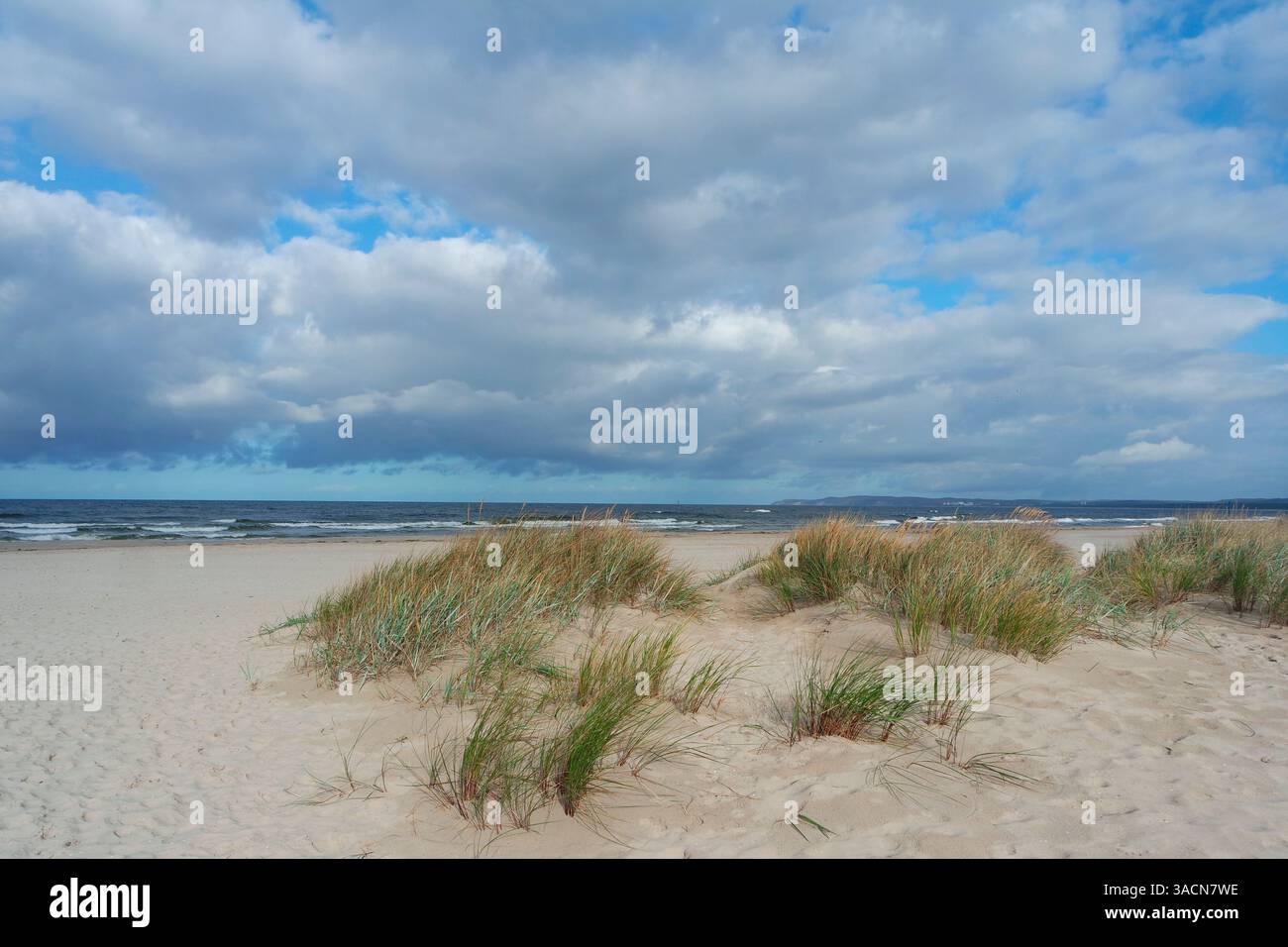 Dune sand on baltic hi-res stock photography and images - Alamy