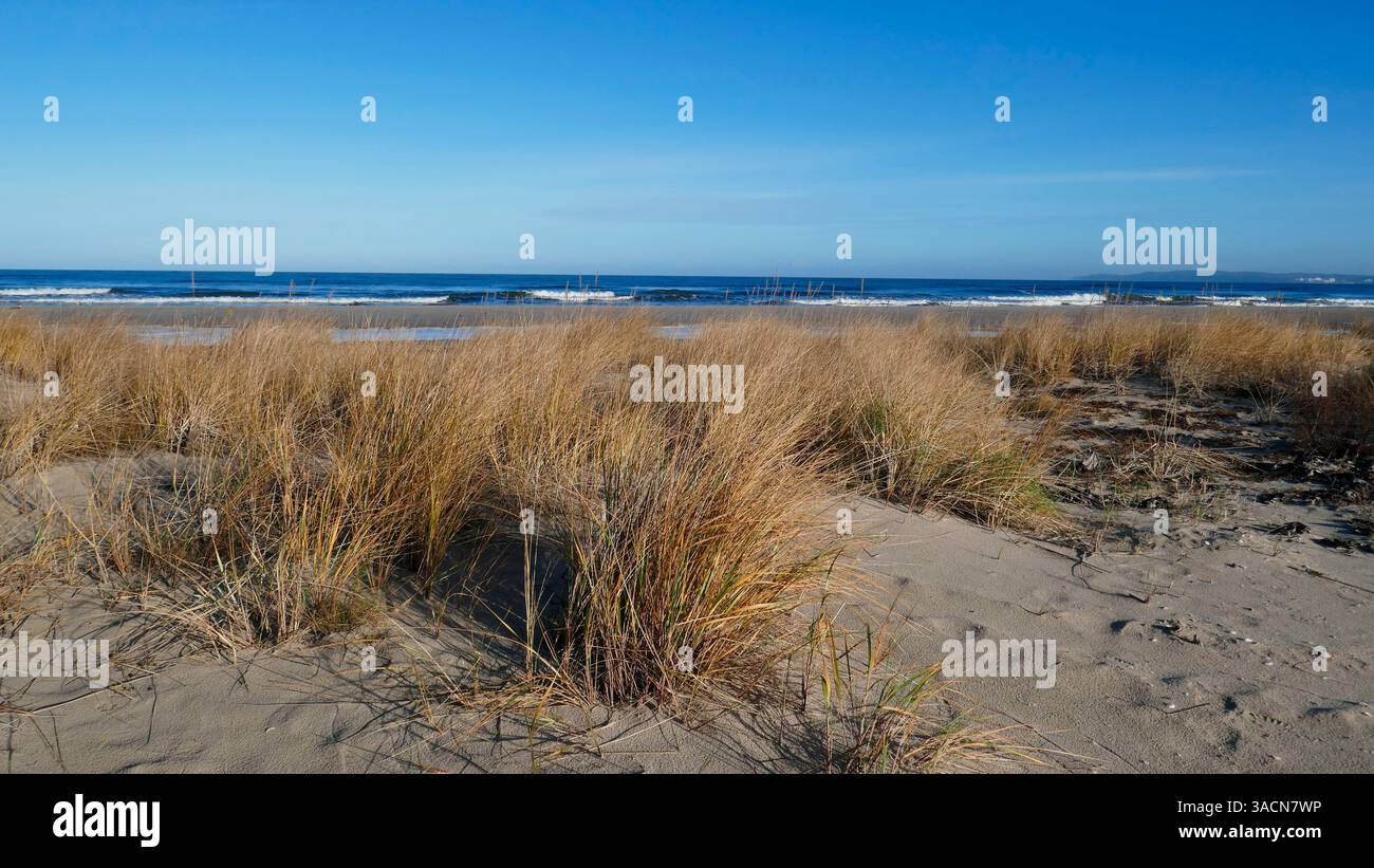 Baltic Sea natural beach. Natura 2000, Swinoujscie Stock Photo - Alamy