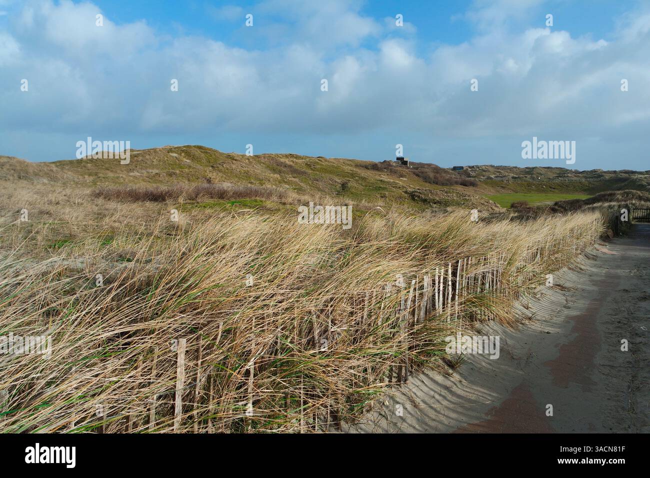 Mild winter hi-res stock photography and images - Alamy