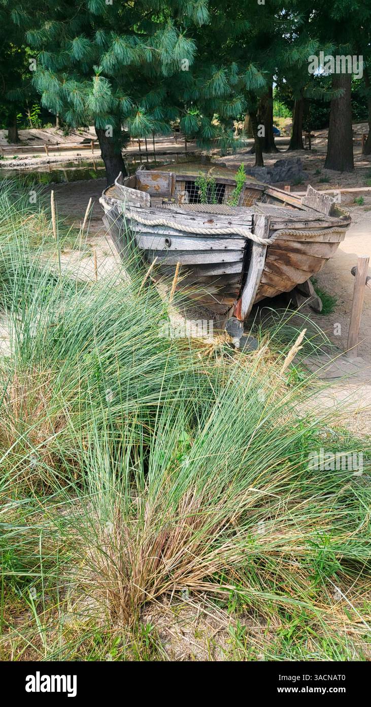A rusty wooden boat lies half in the tall grass and looks abandoned ...