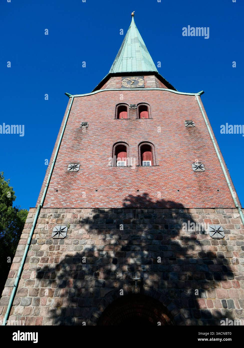 Shadow tree cast on hi-res stock photography and images - Alamy