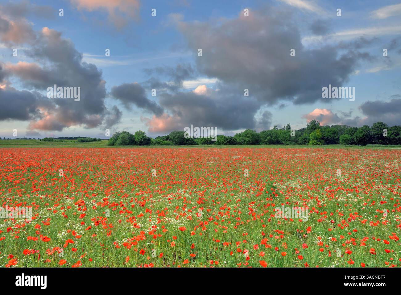 Monheimer rheinbogen hi-res stock photography and images - Alamy