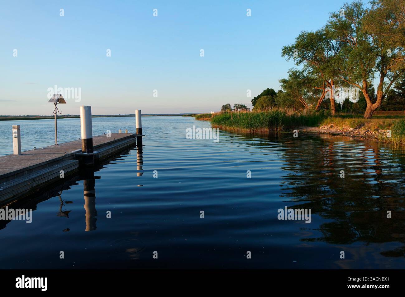 Island in the Swin delta. Karsibor, Kaseburg Stock Photo - Alamy