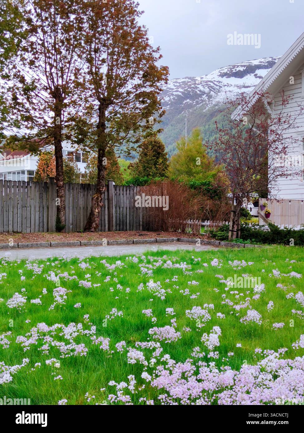 Spring in nordfjordeid hi-res stock photography and images - Alamy