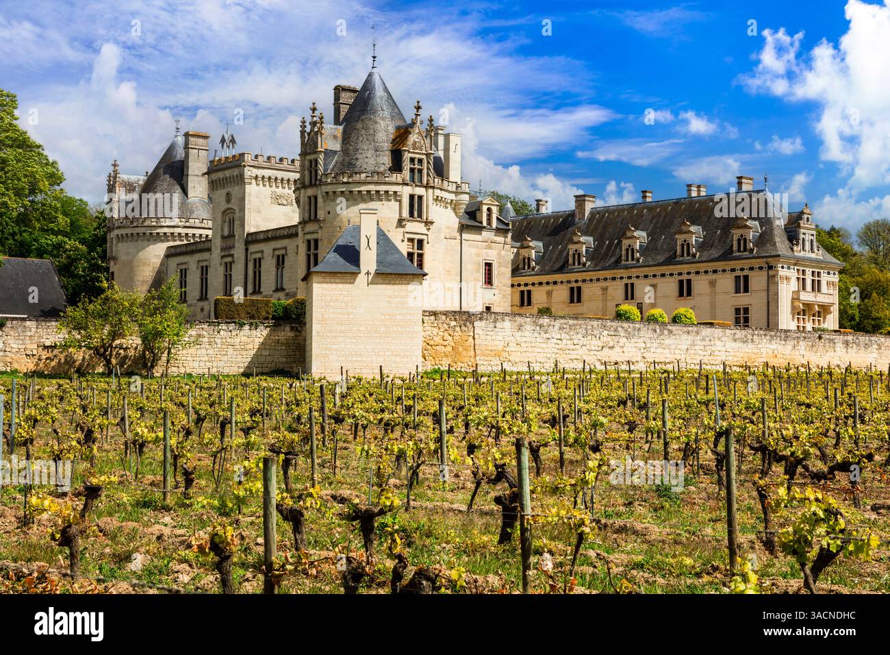 Famous beautiful medieval castles of France. Chateau de Breze in the ...