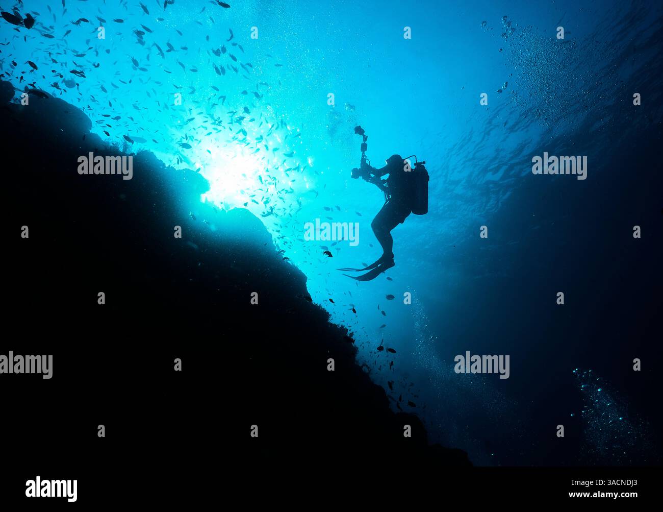 Underwater photographer Komodo National Marine Reserve, Indonesia Stock ...