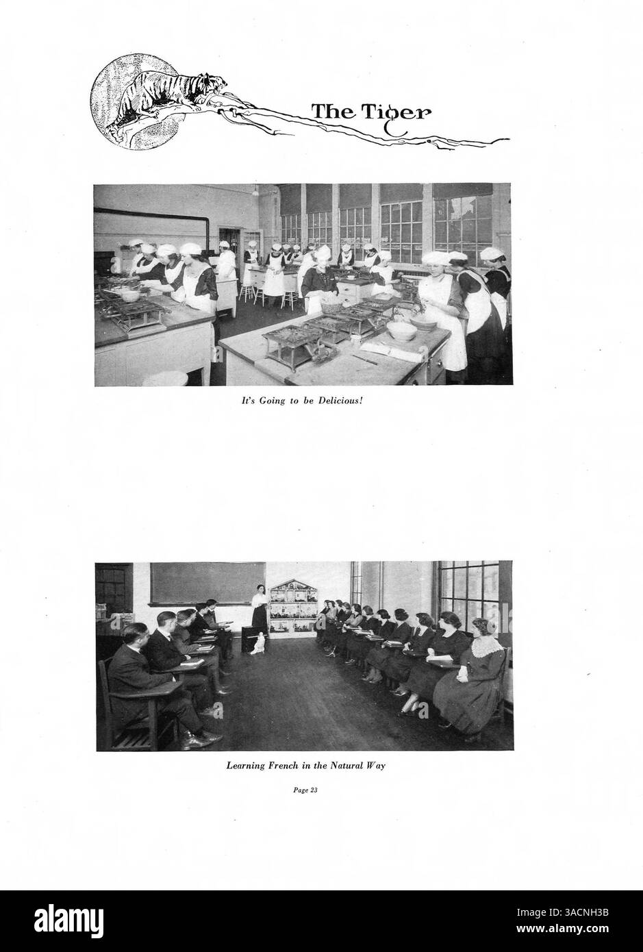 Featuring african american student contributions Cut Out Stock Images ...