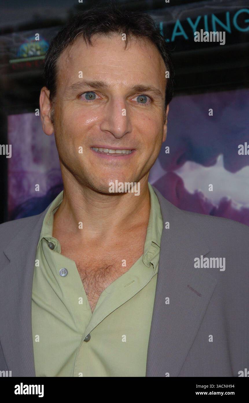 July 24 2007, New York City Michael Gelman attending the premiere of ...