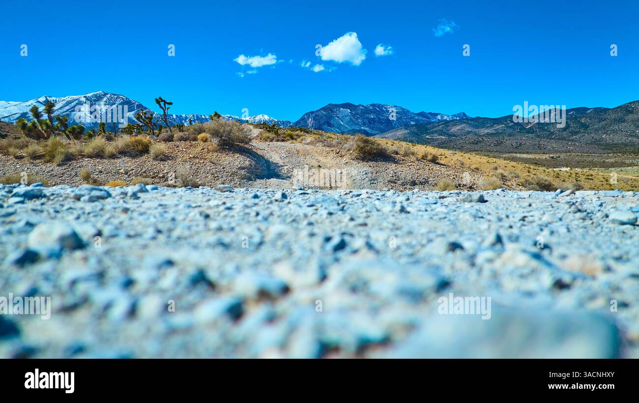 Aerial of Mojave Desert with Snow-Capped Mountains and Joshua Trees ...