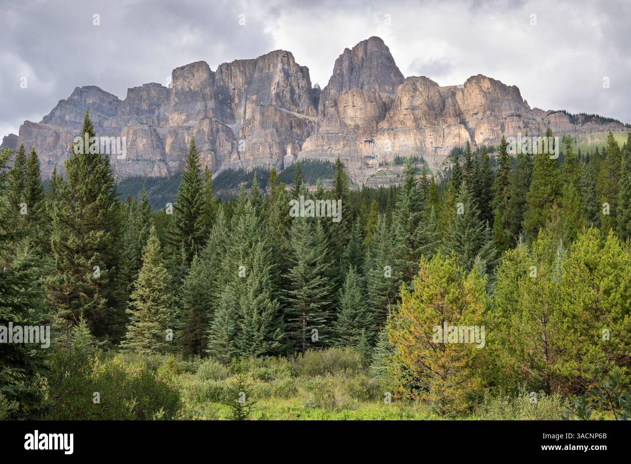 Panoramic image of Castle Mountain under cloudy sky, Bow Valley Parkway ...