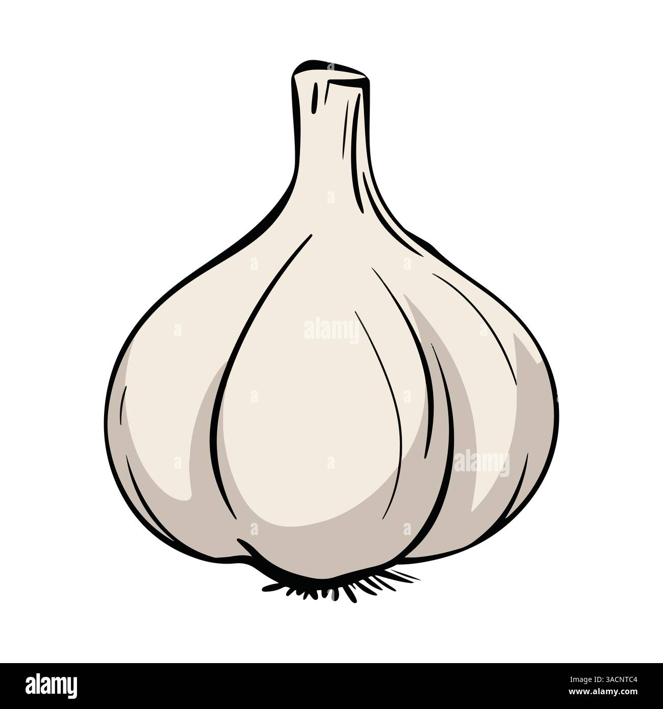 Garlic Illustration in Flat Design. Simple and clean vector depiction ...