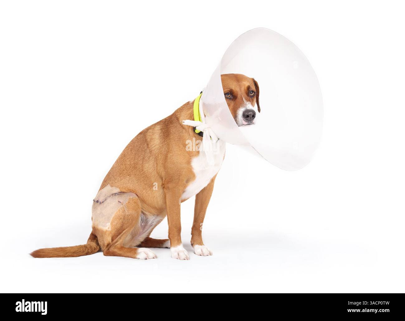 Unhappy post Cut Out Stock Images & Pictures - Alamy