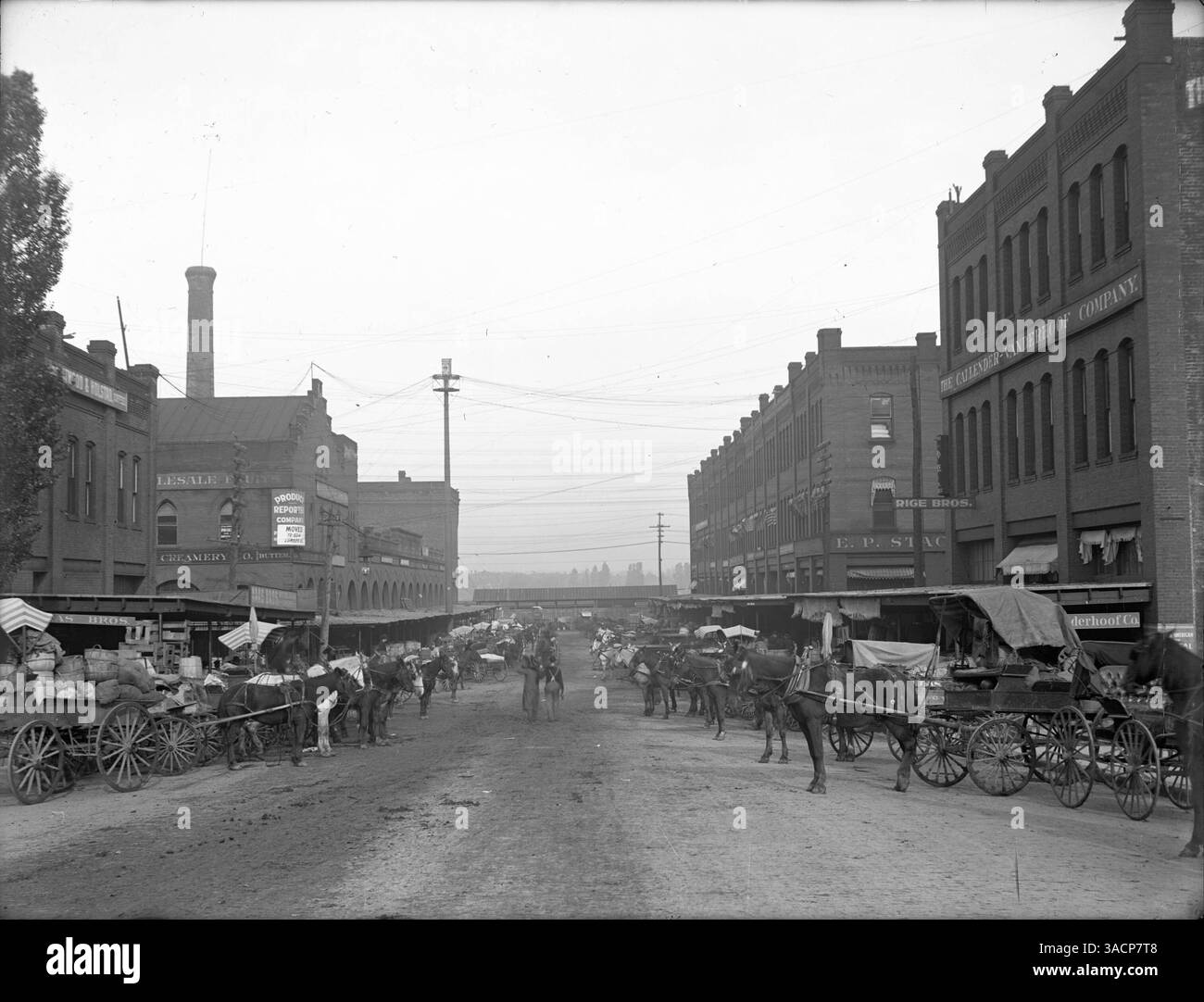 Commission Row at the City Market in Minneapolis shows horses and ...