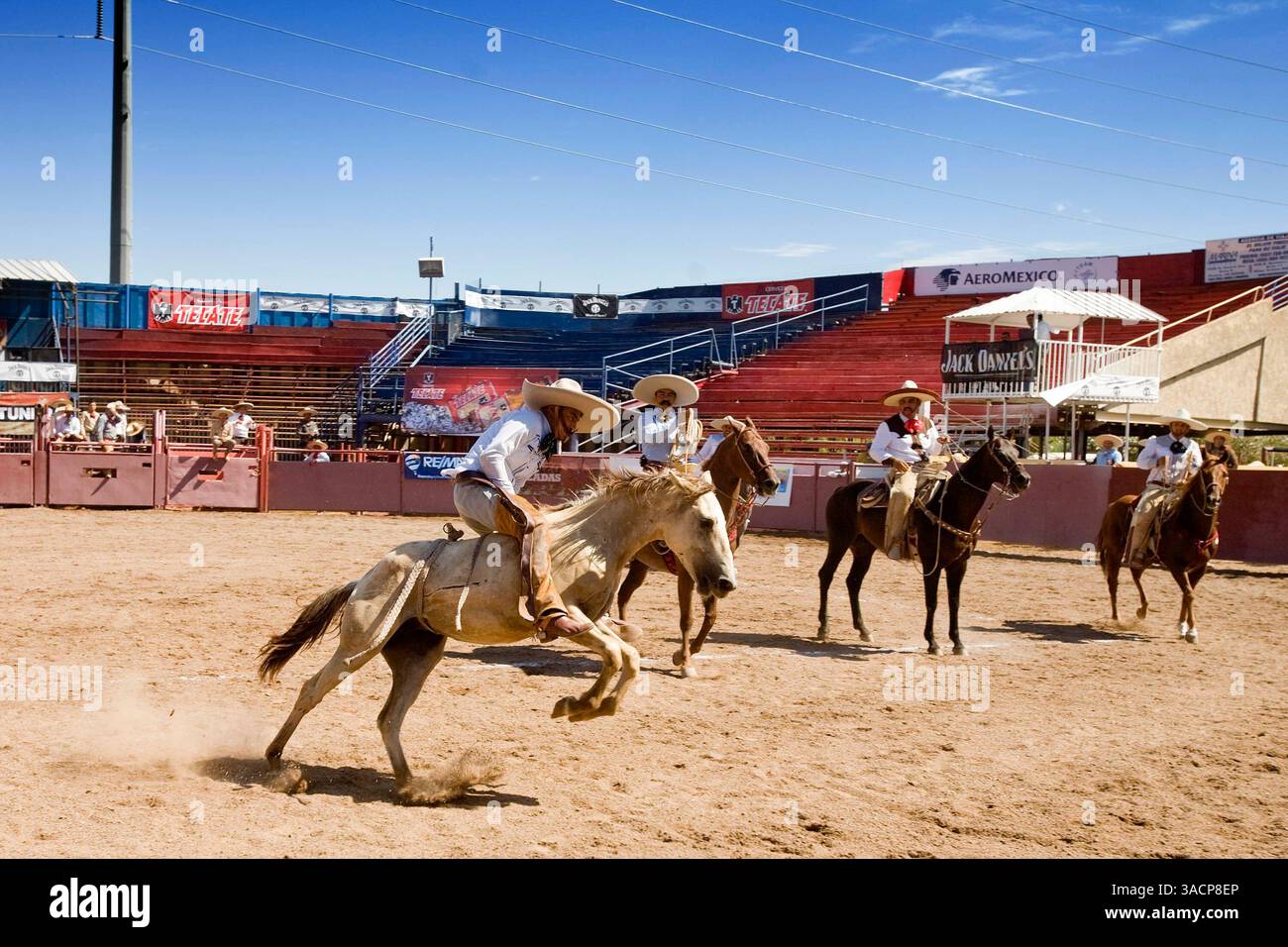 Yegua nacional hi-res stock photography and images - Alamy