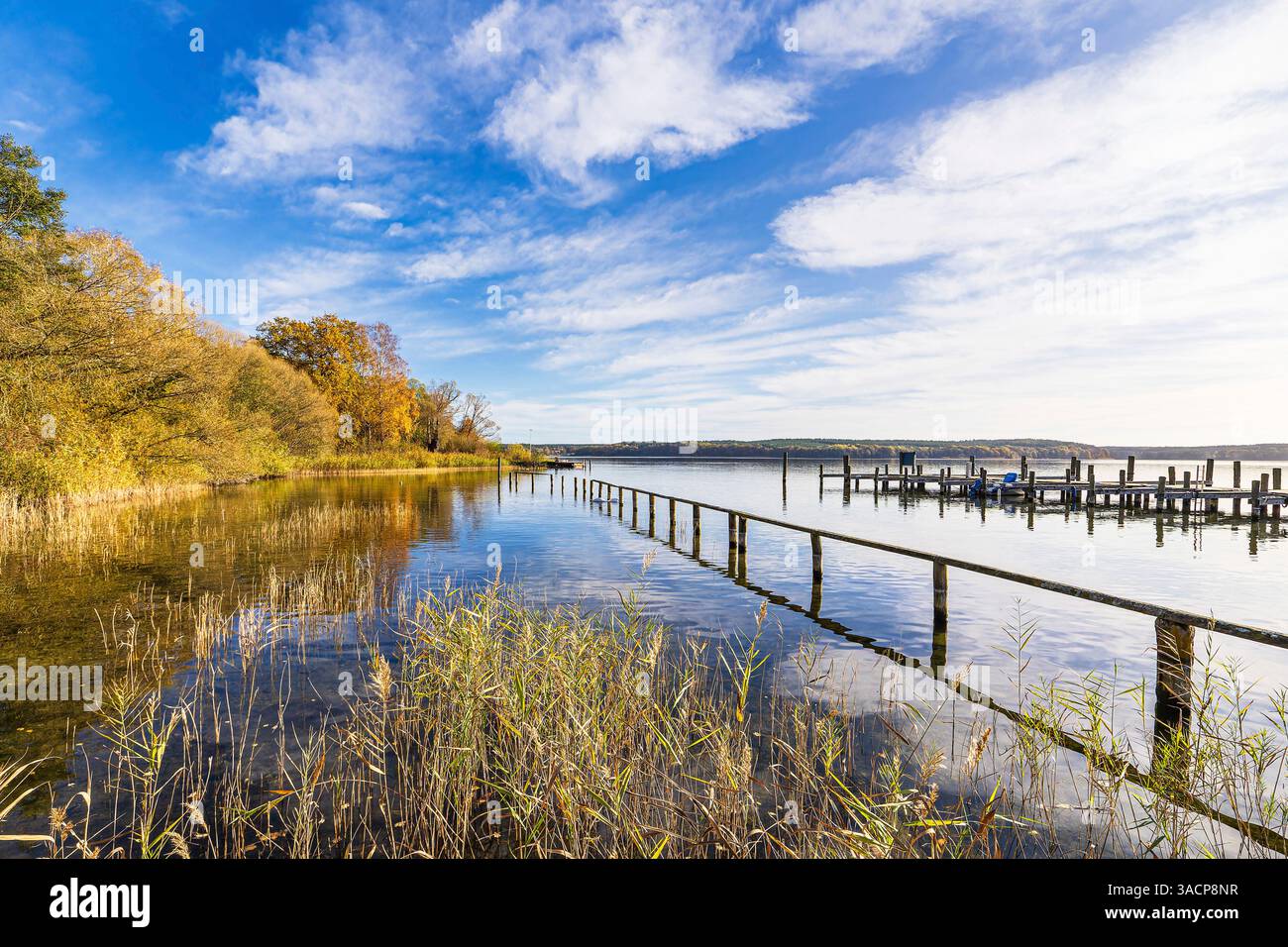 Jetty and tree on Lake Plau in the town of Plau am See Stock Photo - Alamy