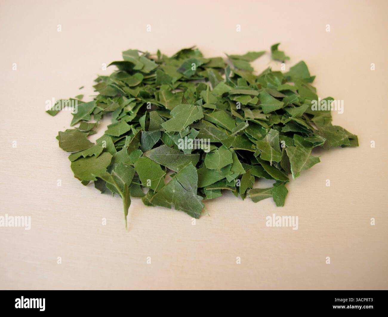 Dried and cut ivy leaves, Hederae helicis folium Stock Photo - Alamy