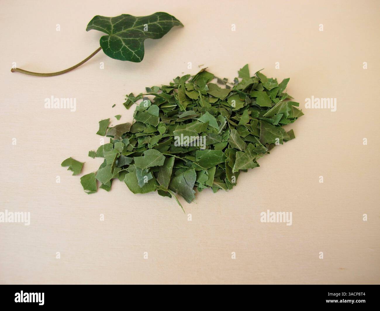 Dried and cut ivy leaves, Hederae helicis folium Stock Photo - Alamy