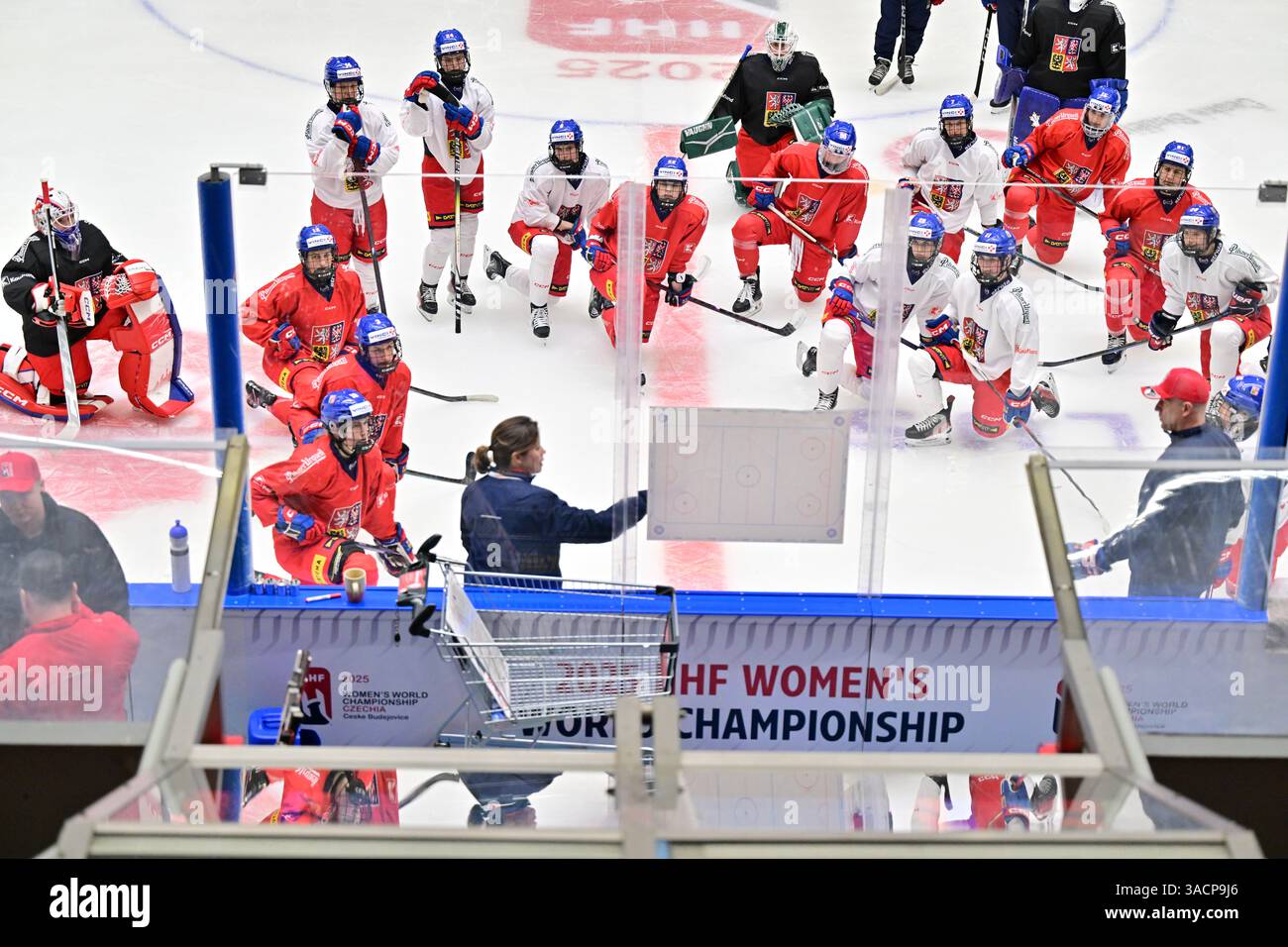 Budweis, Czech Republic. 04th Apr, 2025. Czech national team coach ...