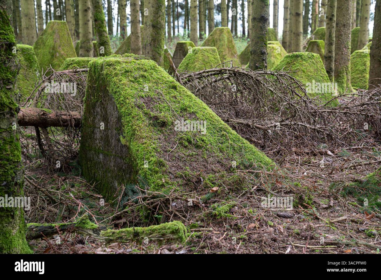Dragon teeth, relicts of Second World War on Western Germany, Westwall close to Hellenthal ...