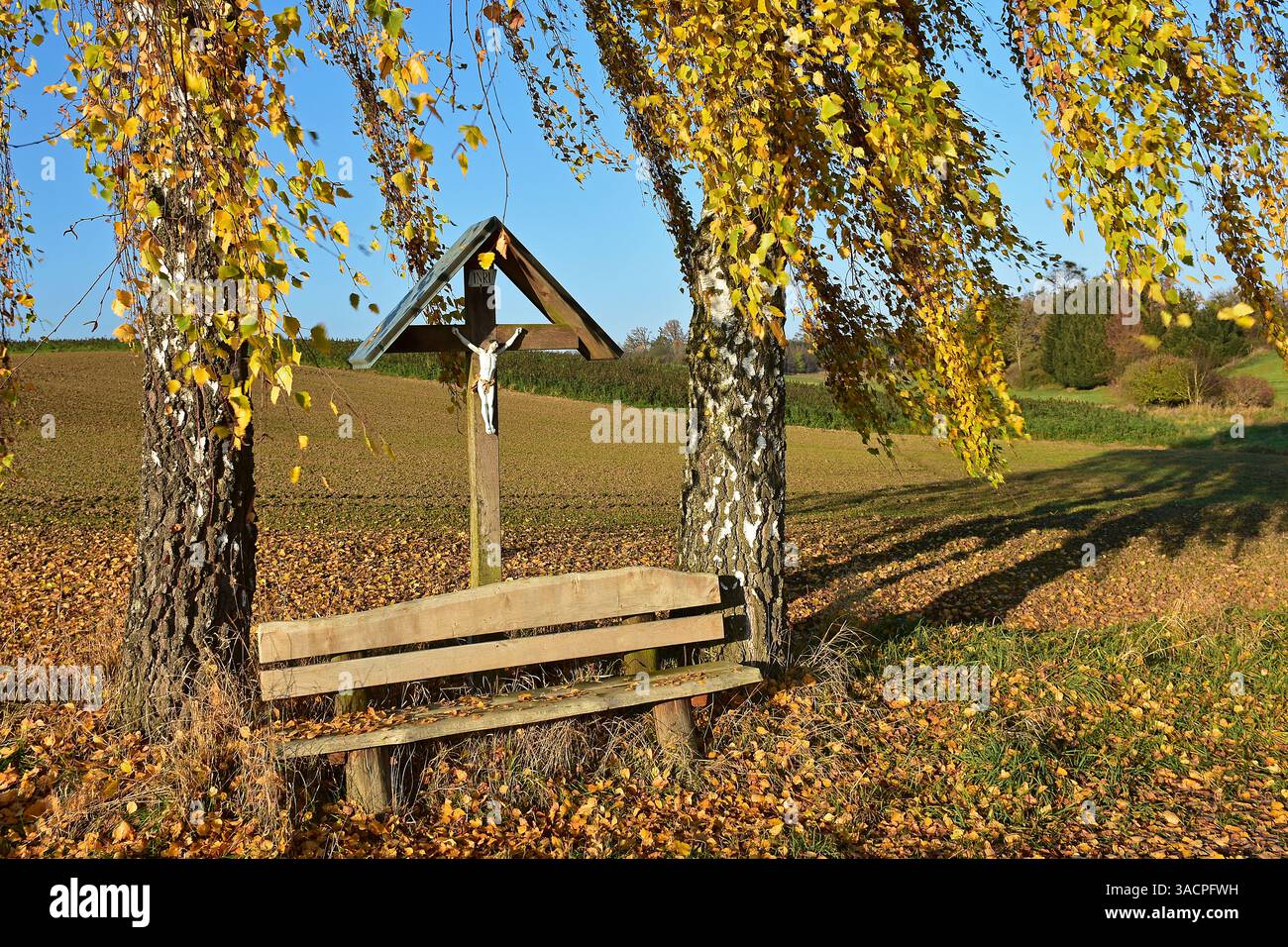 Marterl and bench between birch trees near Sixthaselbach, Upper Bavaria ...