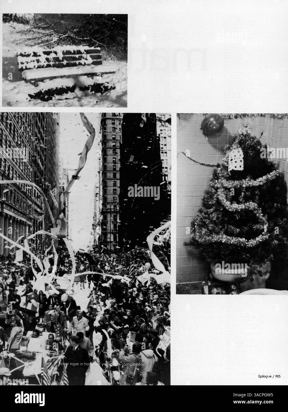 The 1982 Robbinsdale High School yearbook captures student achievements ...