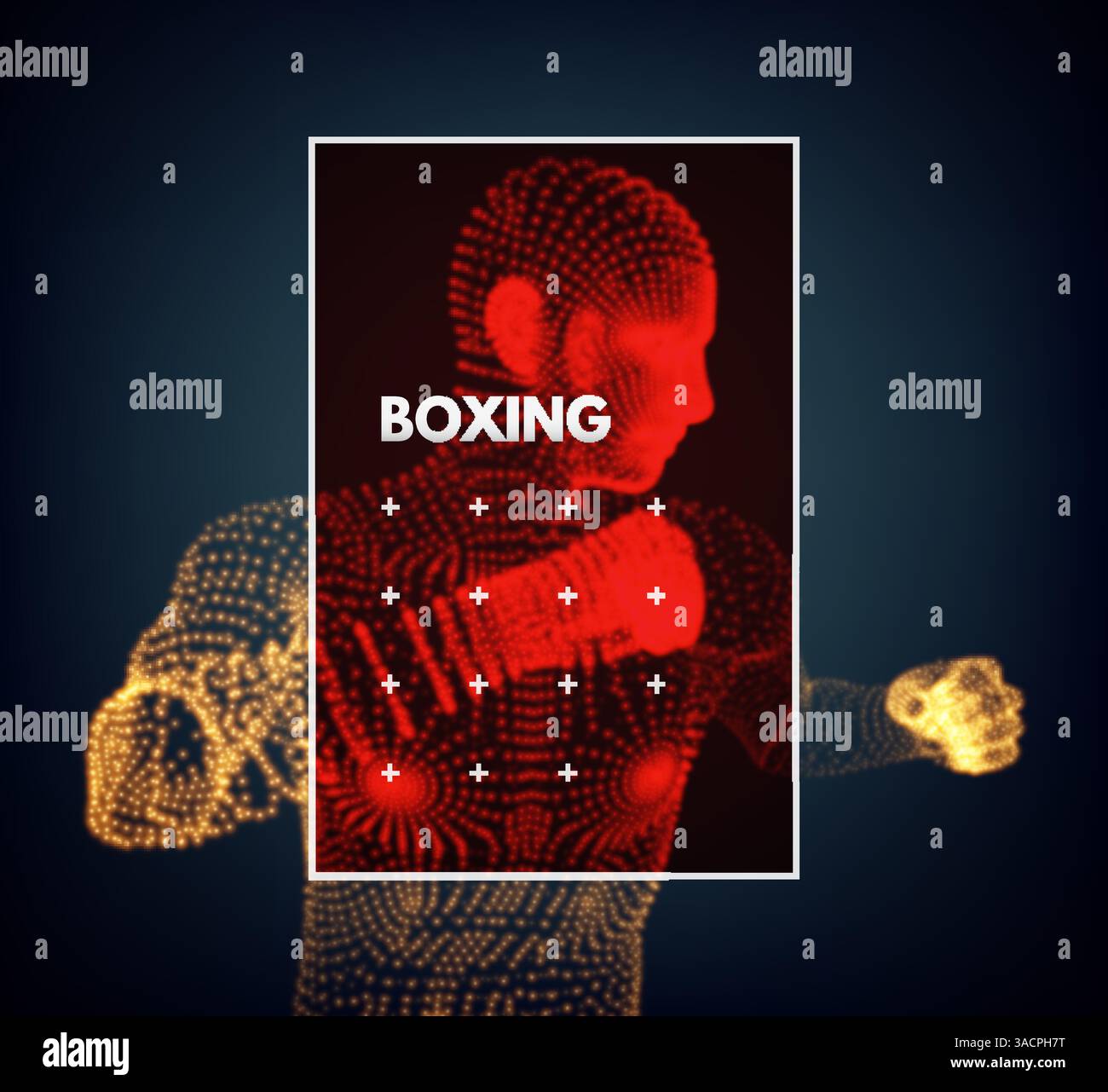 Boxer. Fighting men. 3d model of man. Body scanning. Vector graphics ...