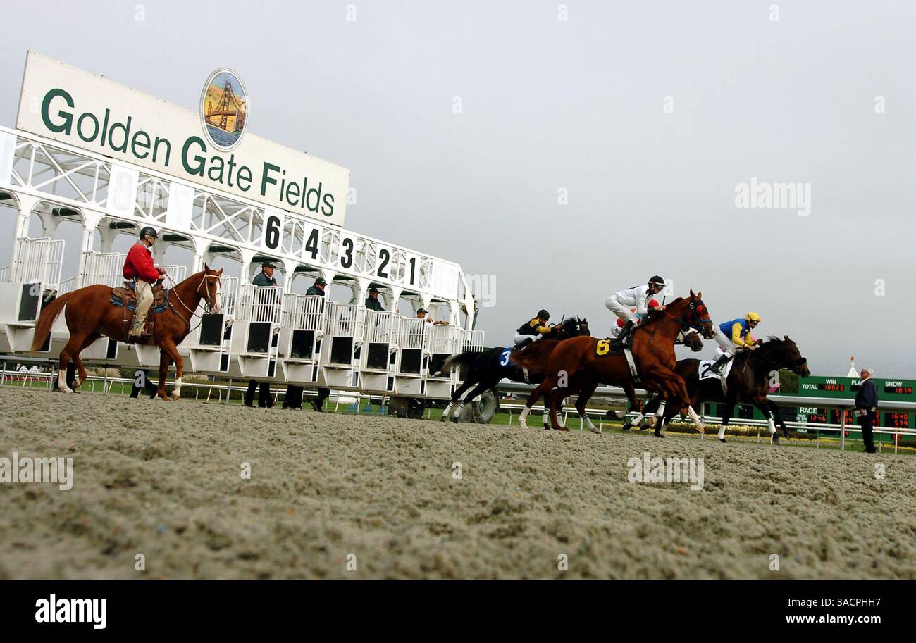 Horses break from the gate for the first race on opening day at Golden ...
