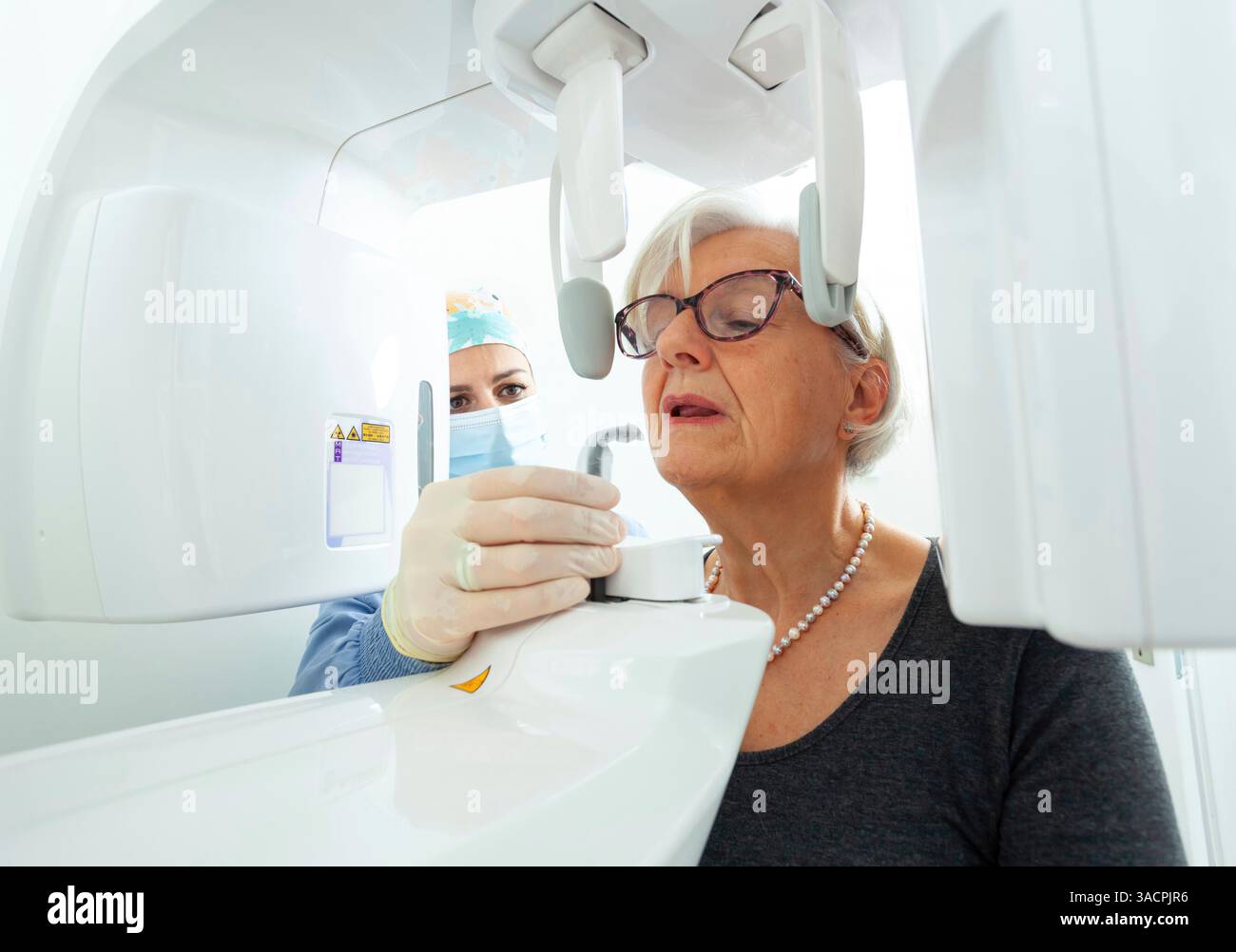Dentist positioning elderly patient's head for a dental panoramic ...