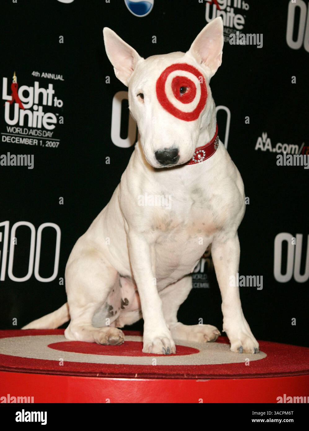 Nov 09, 2007 - New York, NY, USA -Mascot for Target Brands, BULLSEYE ...