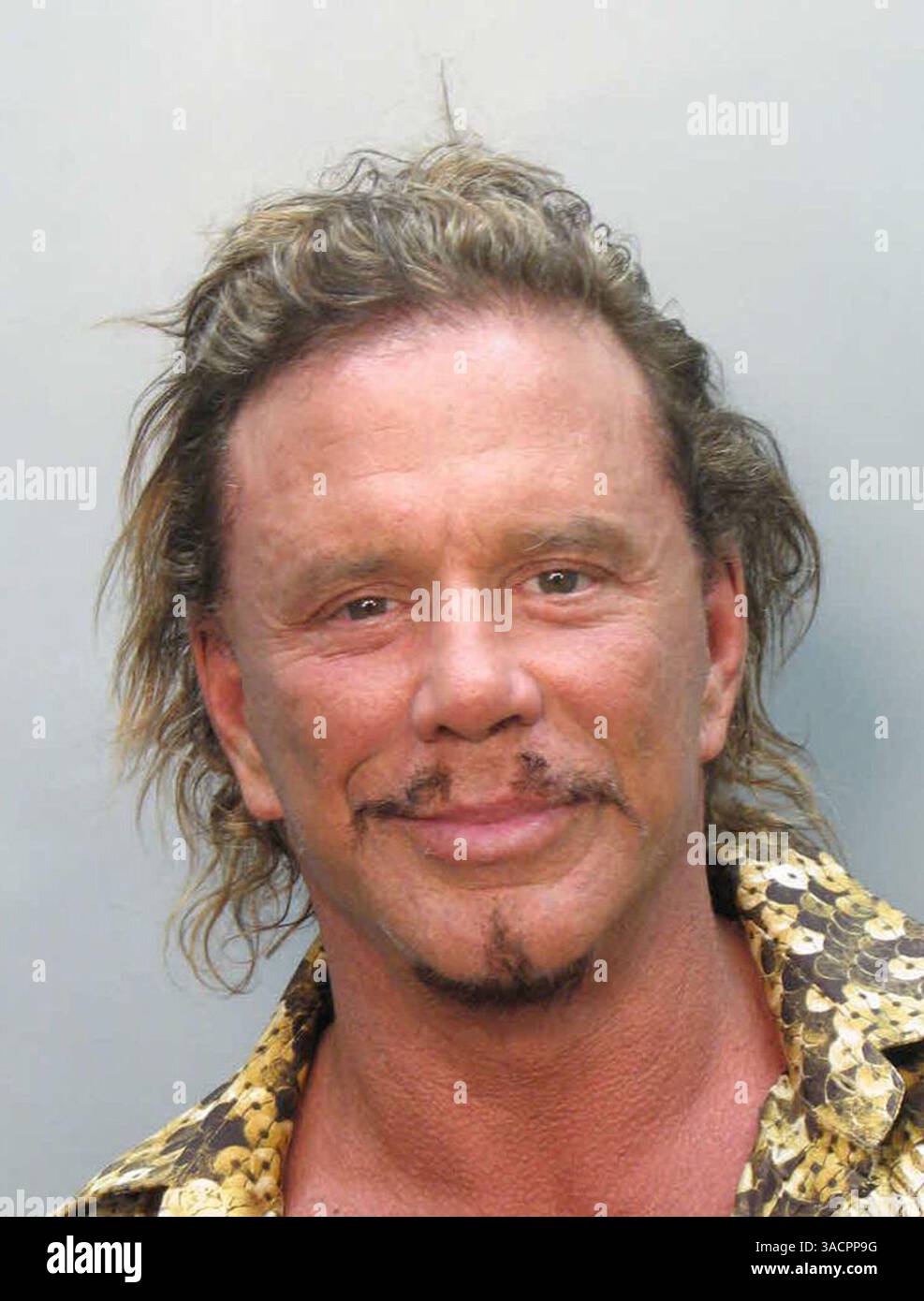 Nov 08, 2007; Miami Beach, FL, USA; Actor MICKEY ROURKE was arrested ...