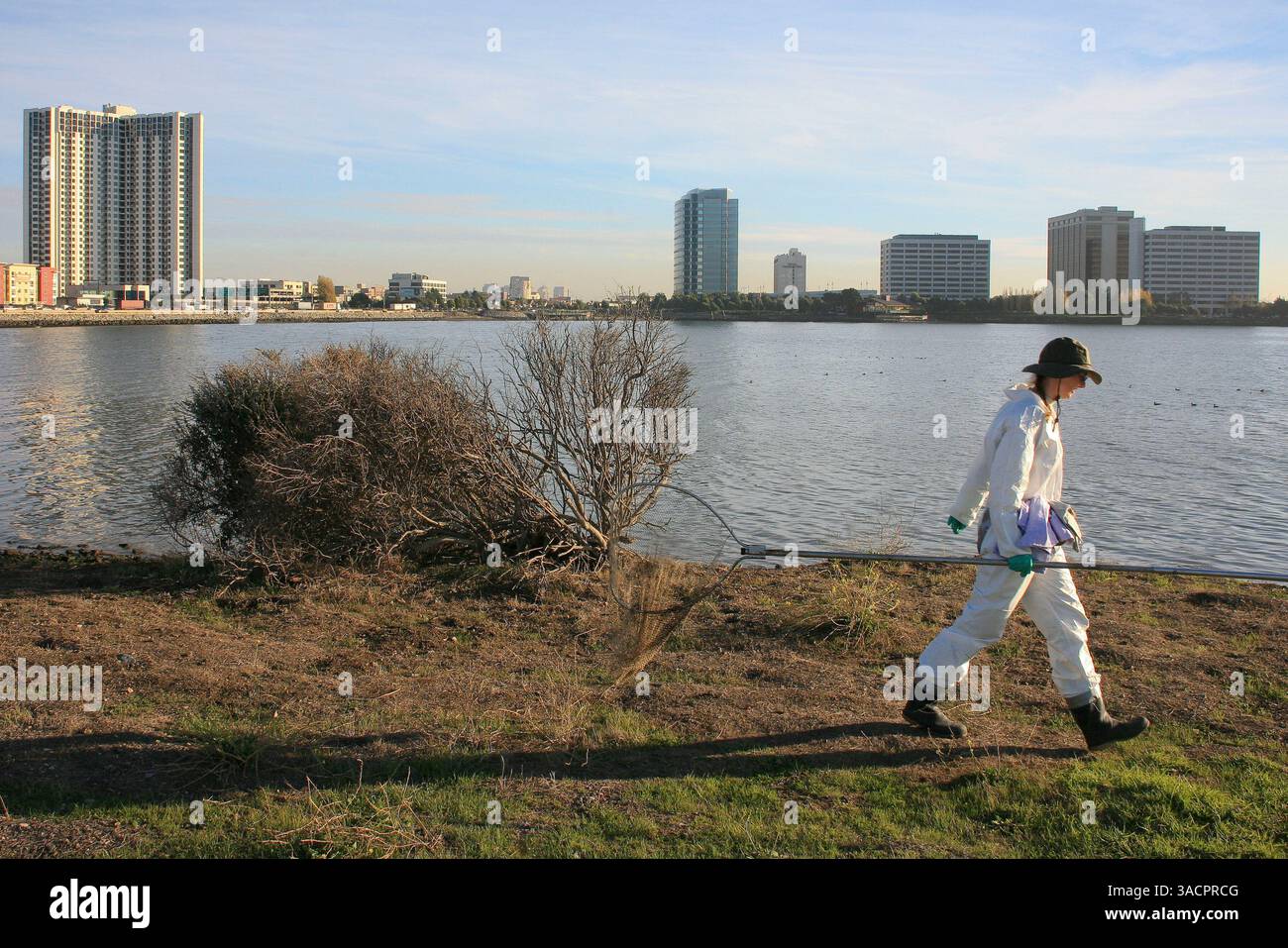 Nov 12, 2007 - Emeryville, California, USA - Staff from the East Bay ...